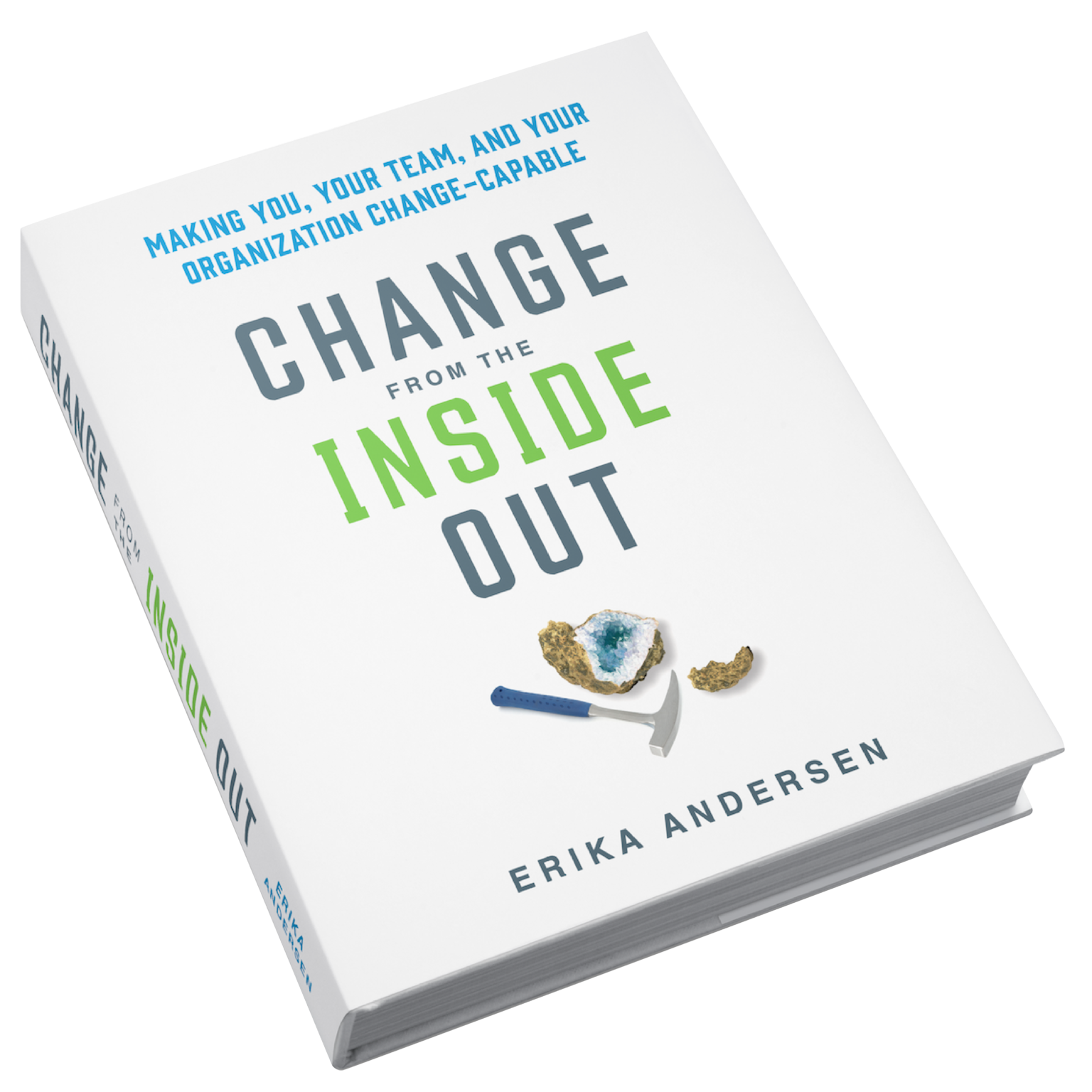 Erika Andersen, Nationally-Known Business Thinker & Author